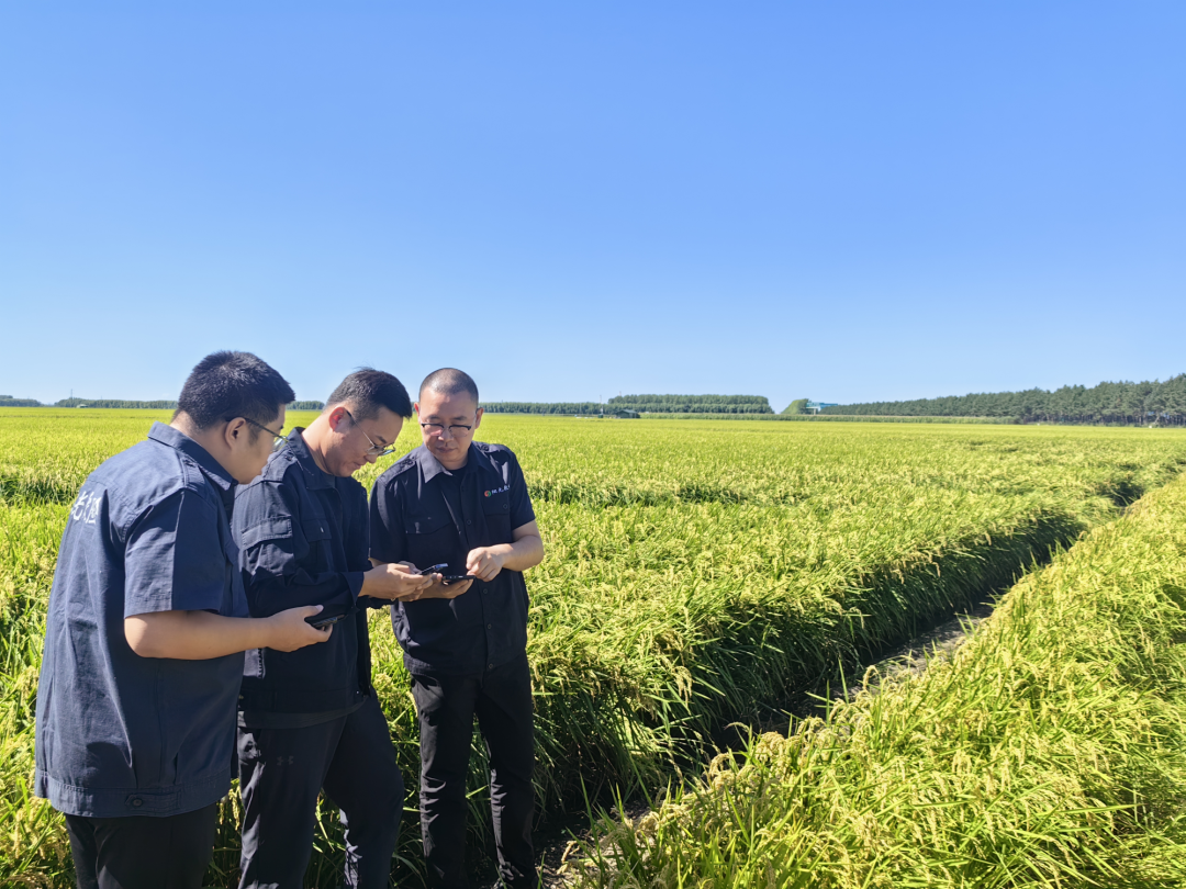 阳光农业相互保险公司完成种植险app和遥感应用平台集中压力测试工作 新华网 1437